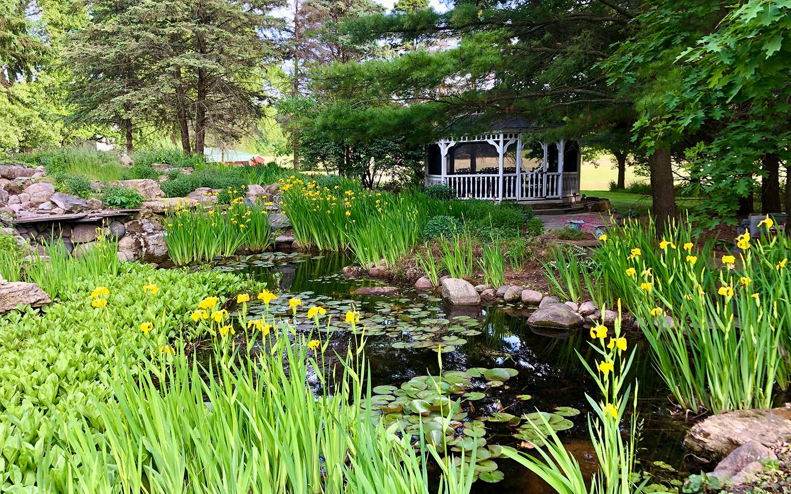 Cameo Rose Victorian Country Inn | Midwest Inns